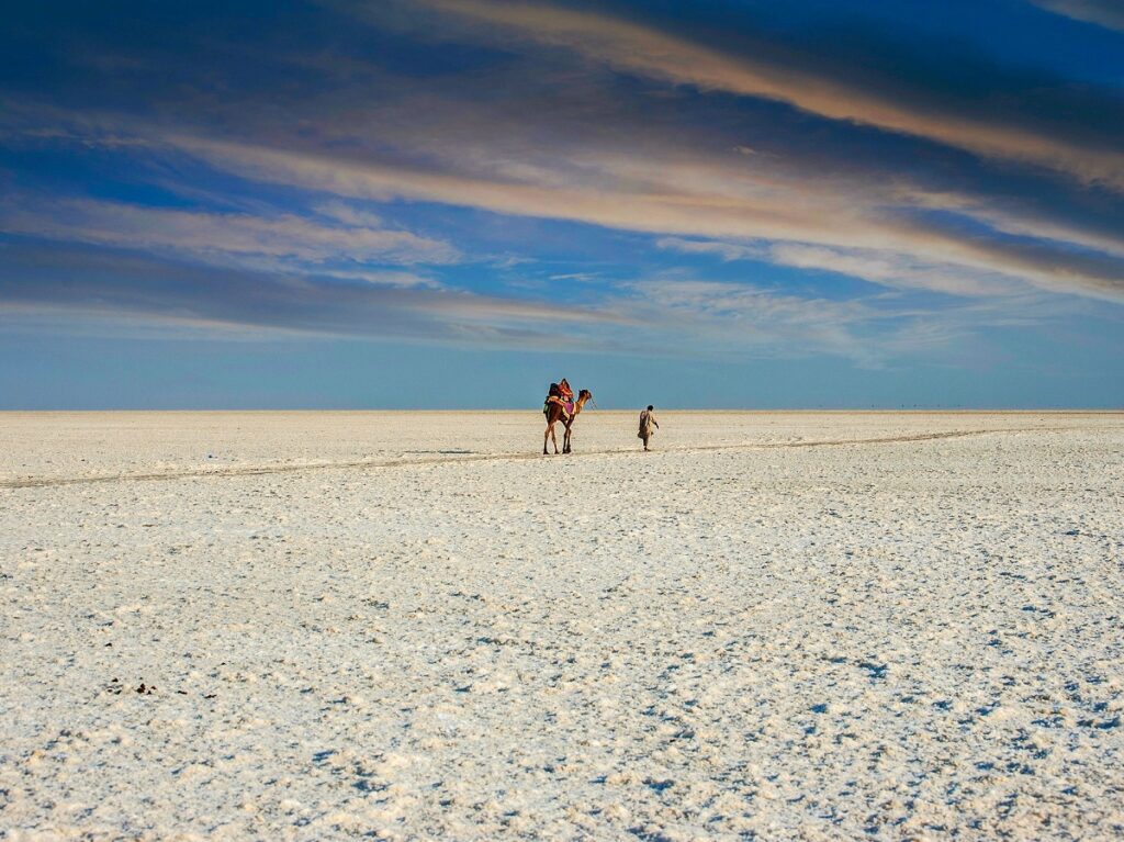 7 Desierto de thar asombrosos y populares en la India - Blog - Español ...