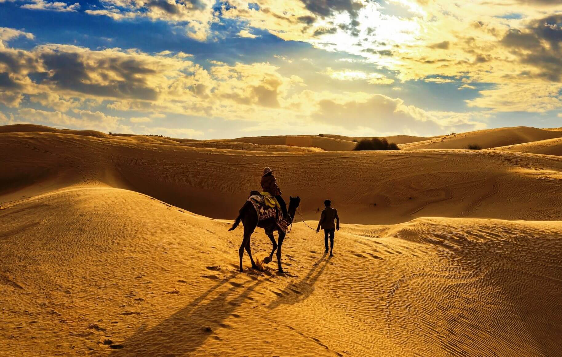 7 Desierto de thar asombrosos y populares en la India - Blog - Español ...